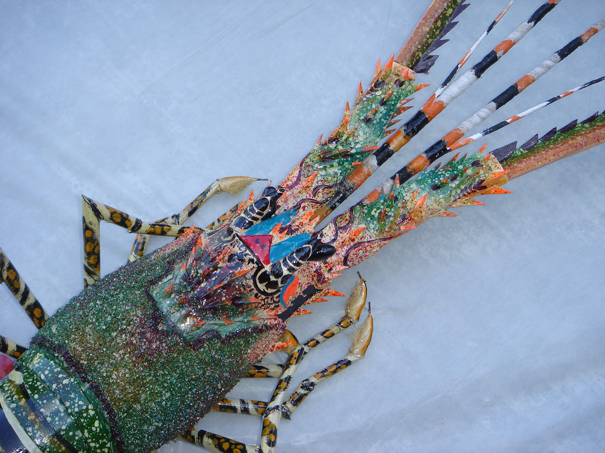 Colorful Lobster