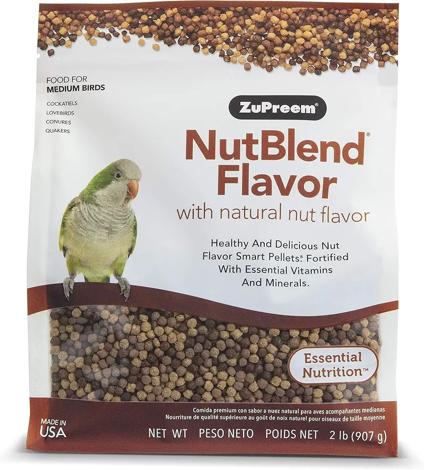 The Nutritional Needs Of Quaker Parrots: What Can They Eat? | PetShun