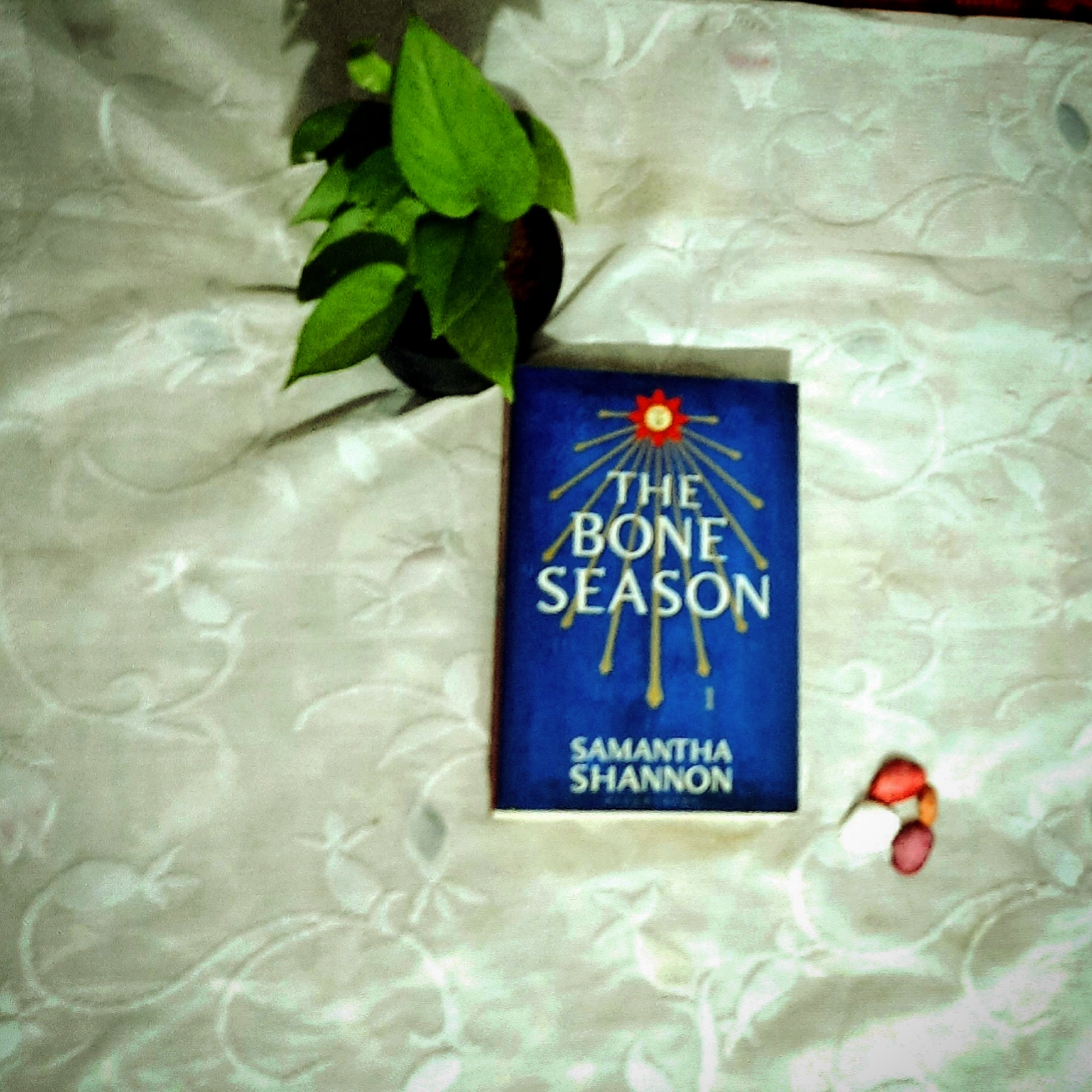 The Bone Season : Shannon, Samantha: Amazon.in: Books