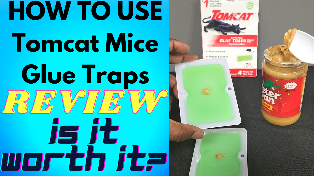 Watch HOW TO USE Tomcat Mouse/Mice Glue Traps Effectively on Amazon Live