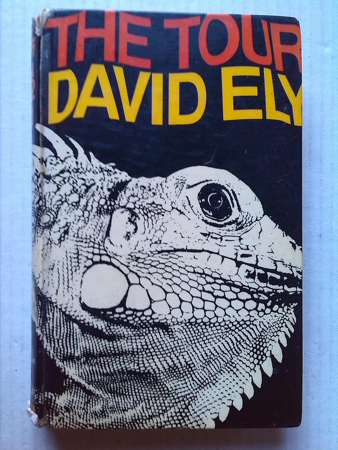 The Tour: Amazon.co.uk: David Ely: Books