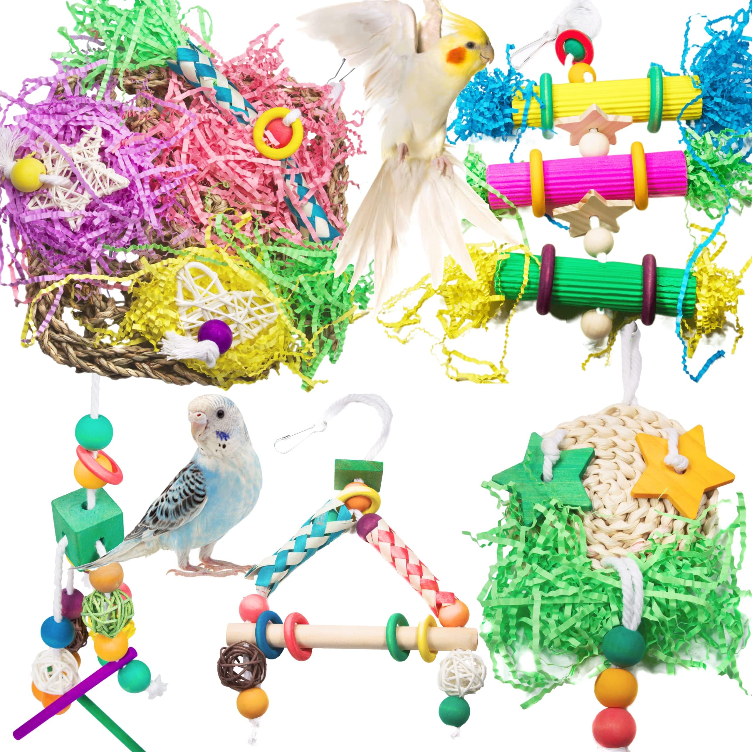 Amazon.com : Wepets 5 PCS Natural Shreddable and Chewable Colorful Bird ...