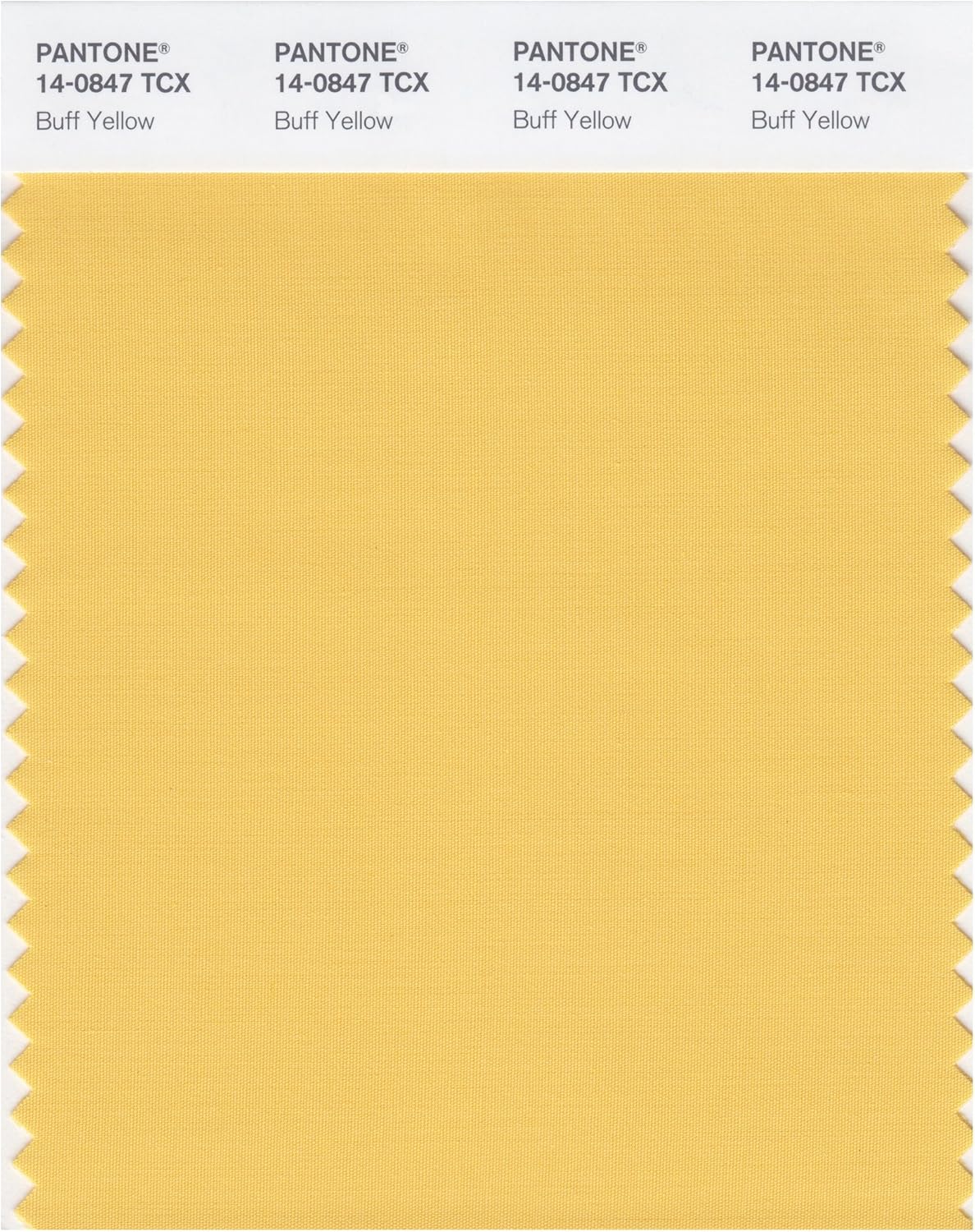 PANTONE Smart 14-0847X Color Swatch Card, Buff Yellow - House Paint ...
