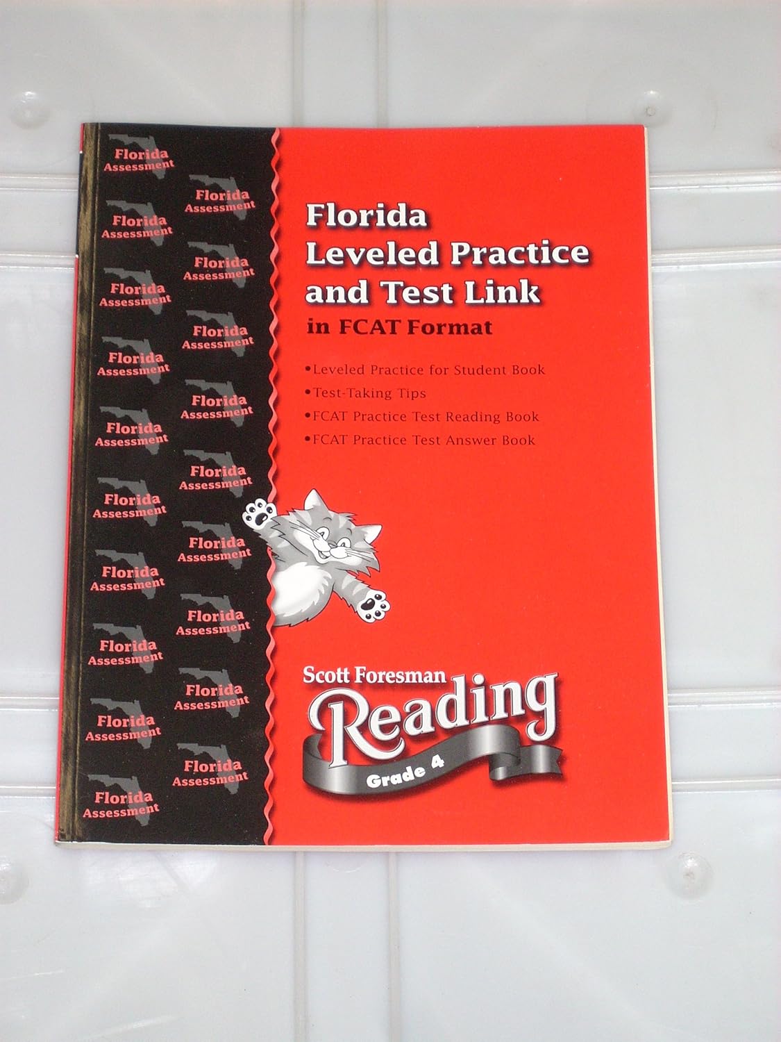 Florida Leveled Practice and Test Link in FCAT Format (Grade 4): Scott ...