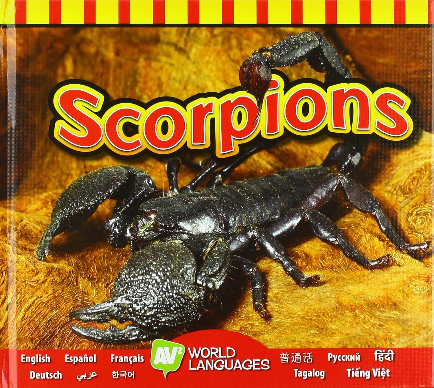 Scorpions (World Languages): Nugent, Samantha: 9781791122829: Amazon ...