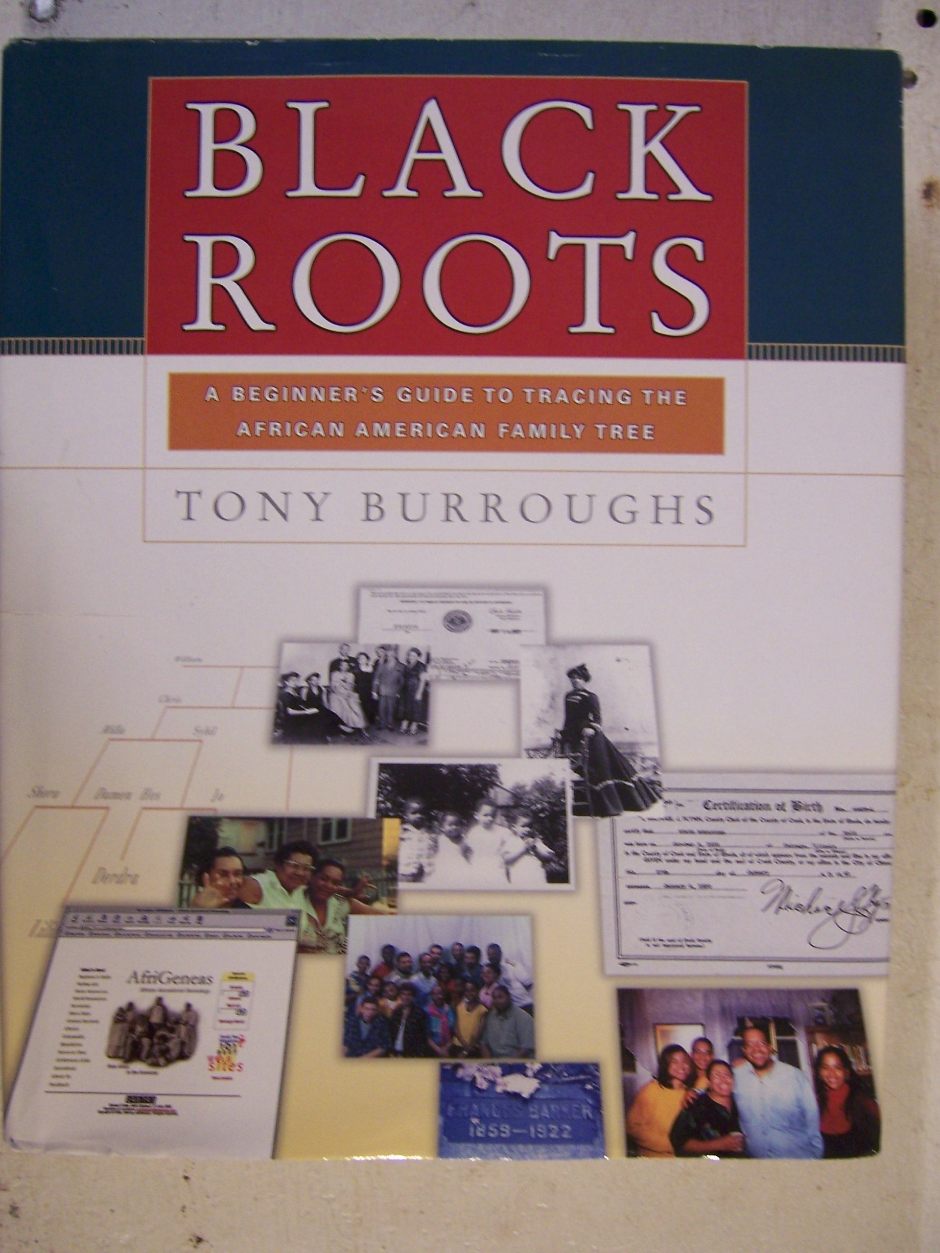 Black Roots a Beginner's Guide to Tracing the African American Family ...