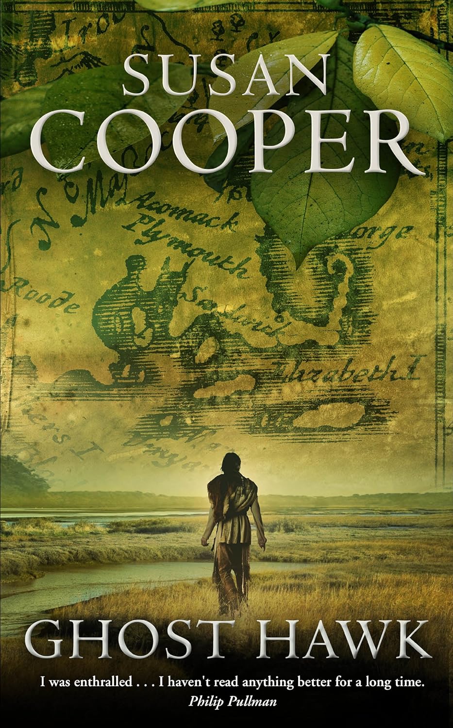 Ghost Hawk: Cooper, Susan: 9781782300007: Amazon.com: Books