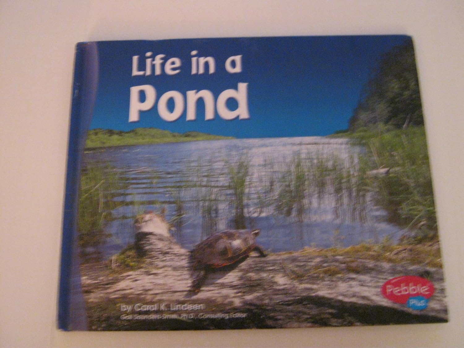 Life in a Pond (Pebble Plus): Lindeen, Carol K.: 9780736821018: Amazon ...
