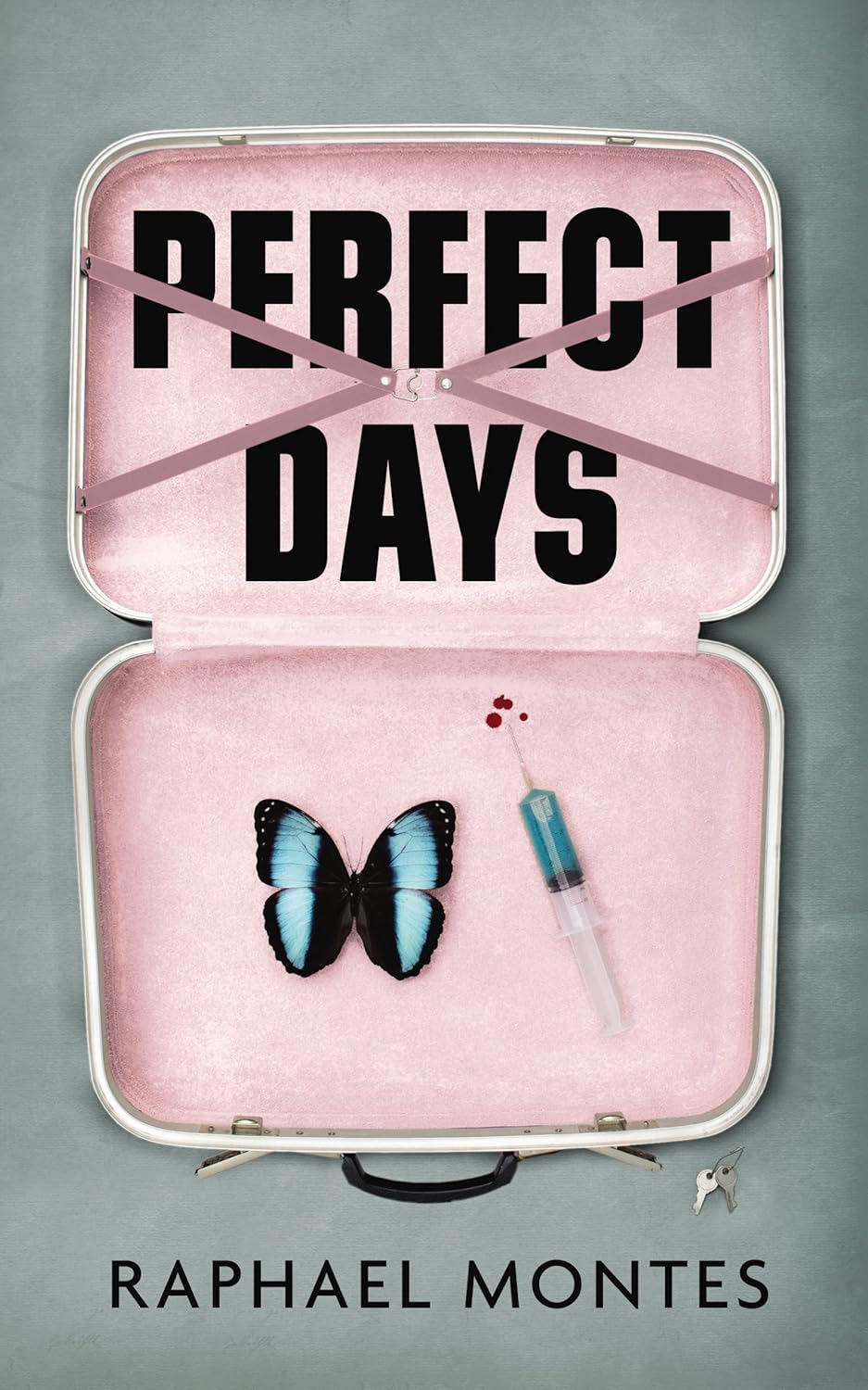 Perfect Days eBook : Entrekin, Alison, Montes, Raphael, Entrekin ...