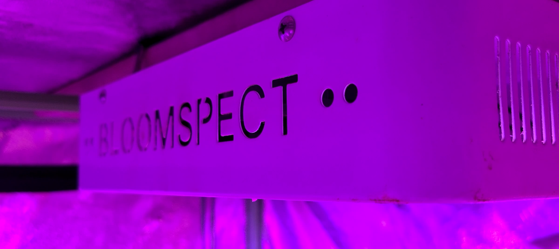 Kevin - Entertaining Entropy's Amazon Page