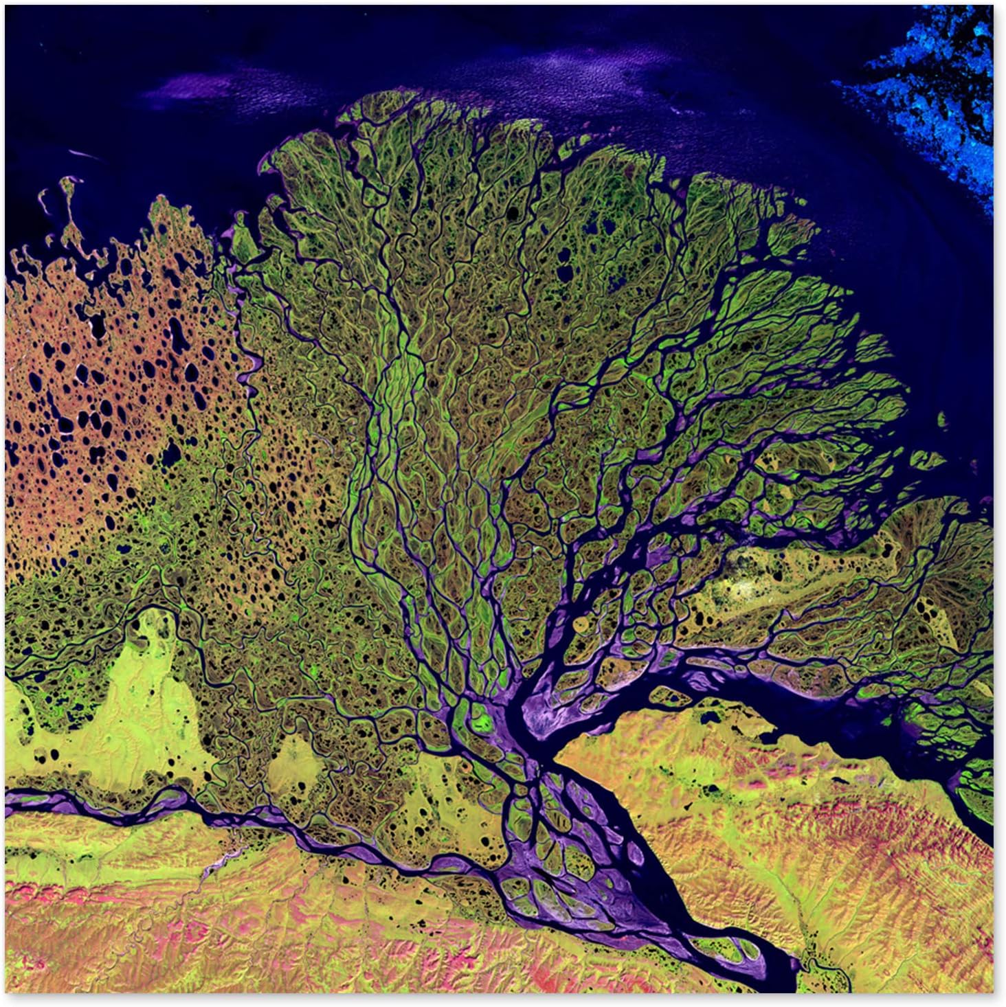 Amazon.com: Landsat Satellite Lena River Delta Photo Large Wall Art ...