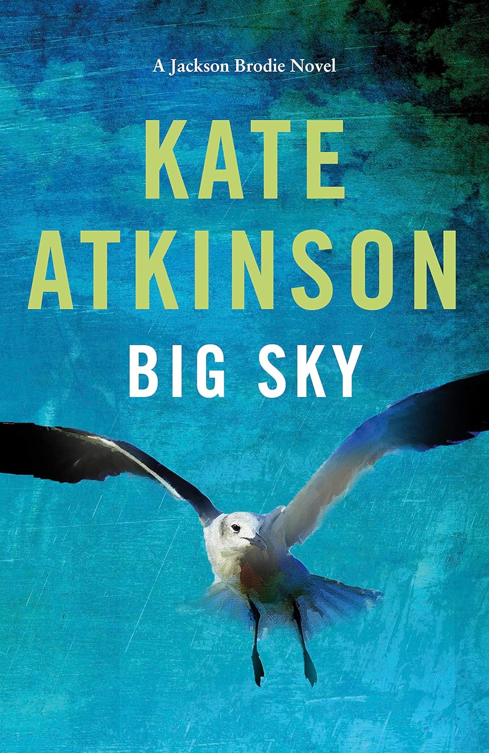 Big Sky (Jackson Brodie): Amazon.co.uk: Atkinson, Kate: 9780857526106 ...