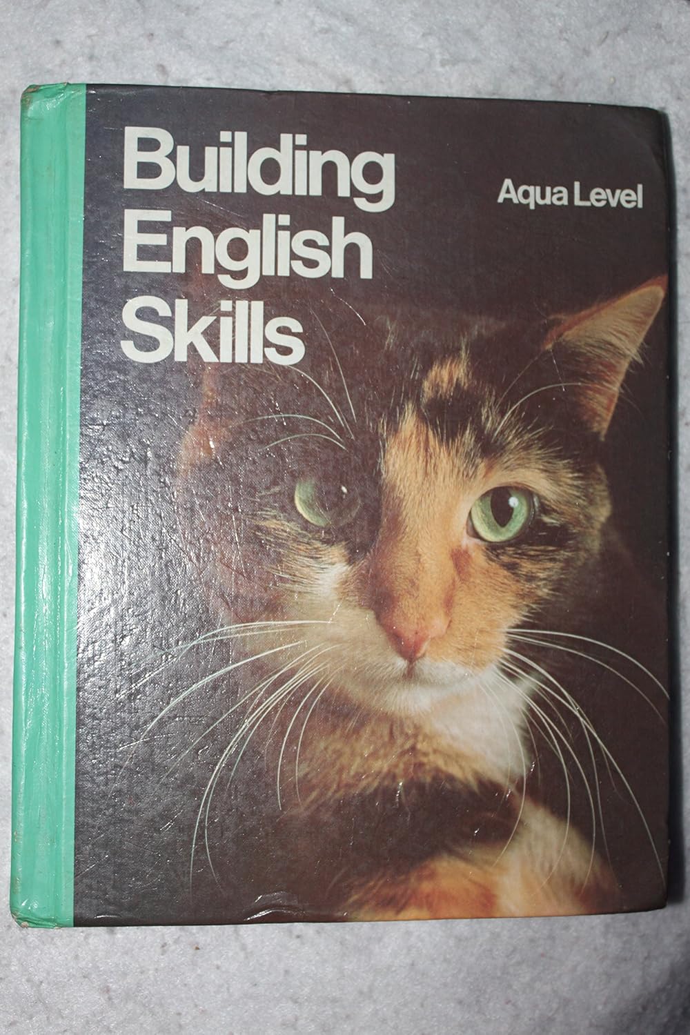 Building English Skills (Aqua Level): Bell; Paden; Schaffrath ...