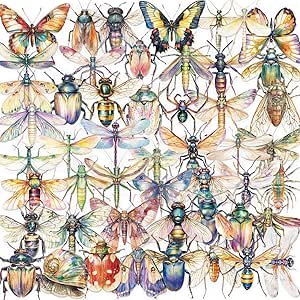 Amazon.com: 50Pcs Insects Stickers, Waterproof PET Transparent Bug ...