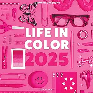 Amazon.com: Graphique 2025 Life in Color Wall Calendar | 12” x 12 ...
