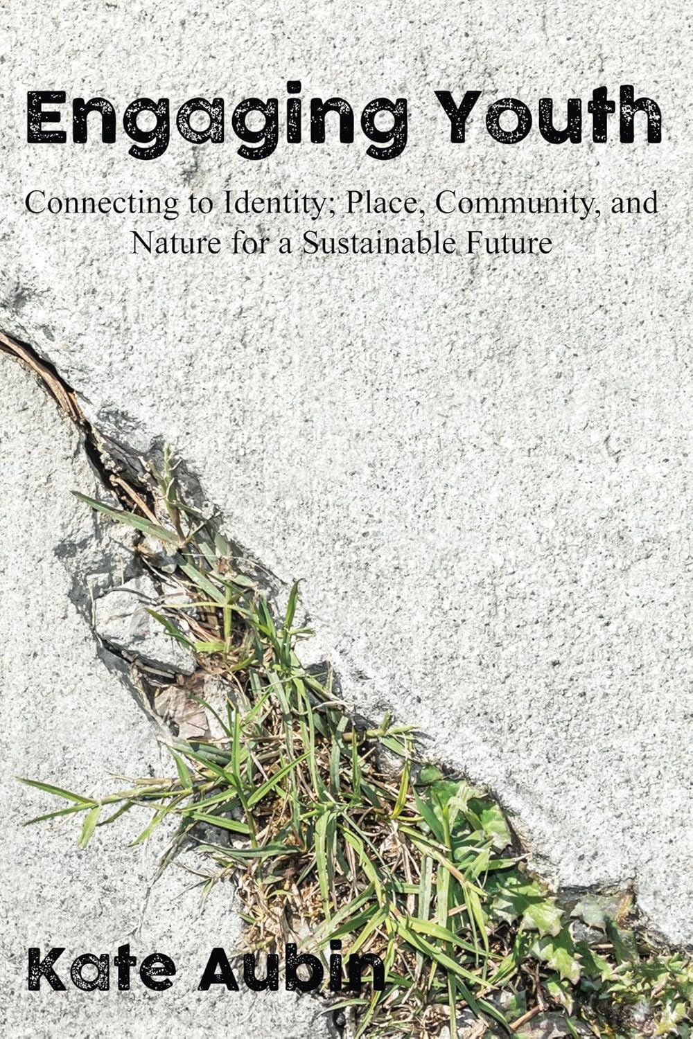 ENGAGING YOUTH: Connecting to Identity, Place, Community, and Nature ...
