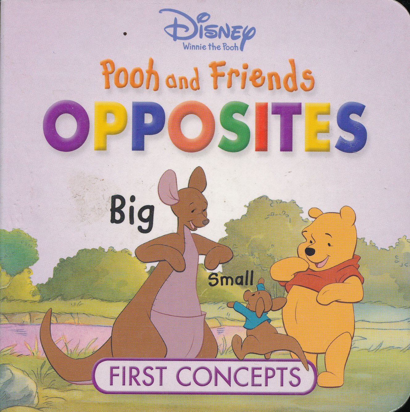 Pooh and Friends: Opposites (First Concepts): Unknown: Amazon.com: Books
