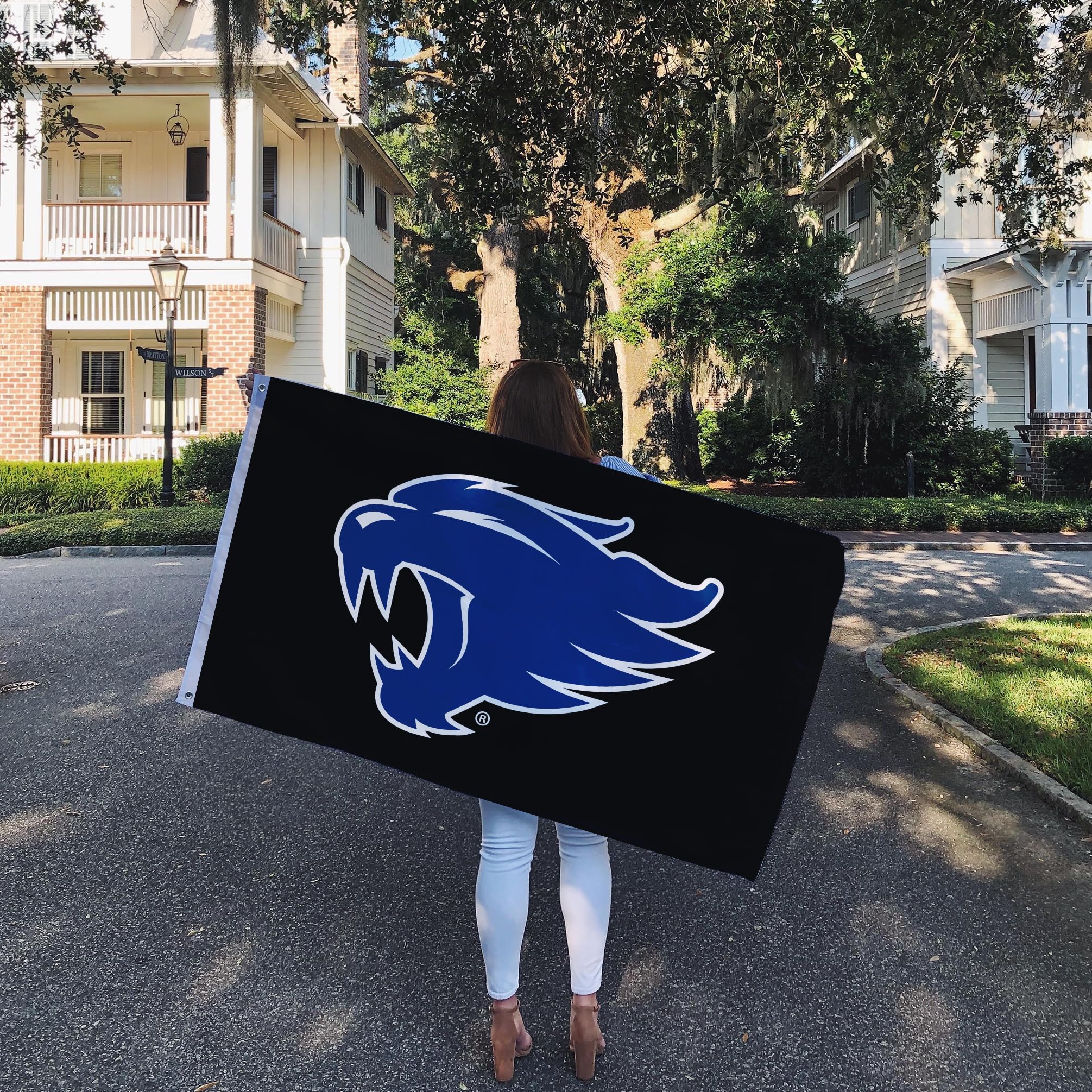University Of Kentucky Flag
