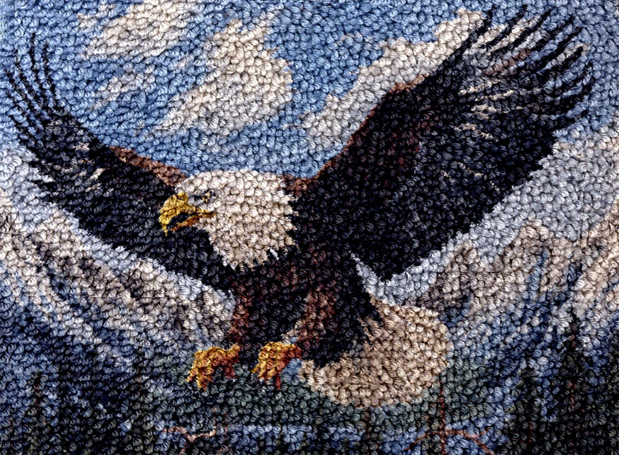 Amazon.com: Flying Eagle in Mountain Latch Hook Rug Kit for Adults DIY ...