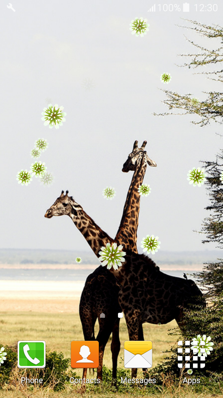 Giraffe Live Wallpapers - App on Amazon Appstore