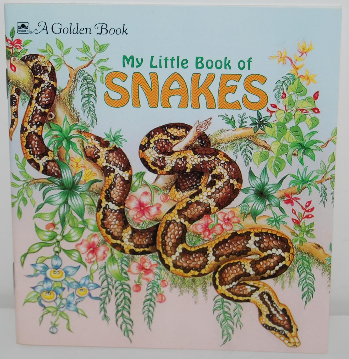 My Little Book of Snakes: Golden Books: 9780307024756: Amazon.com: Books