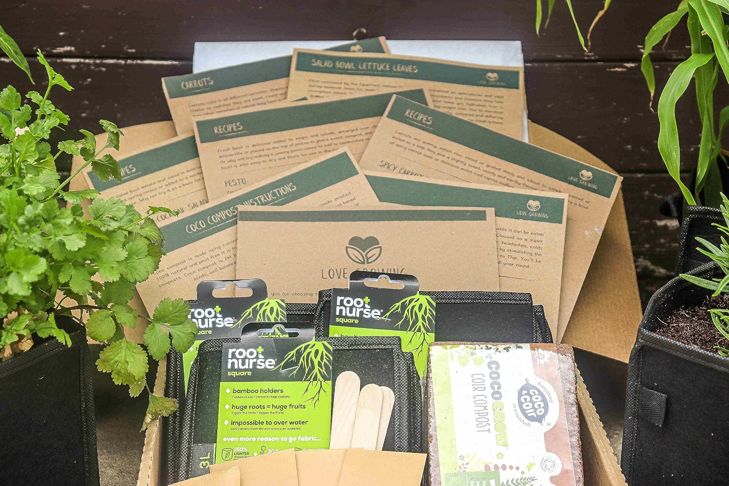 100% Complete Fruit, Vegetable & Herb Growing Kit for Beginners. 100% ...