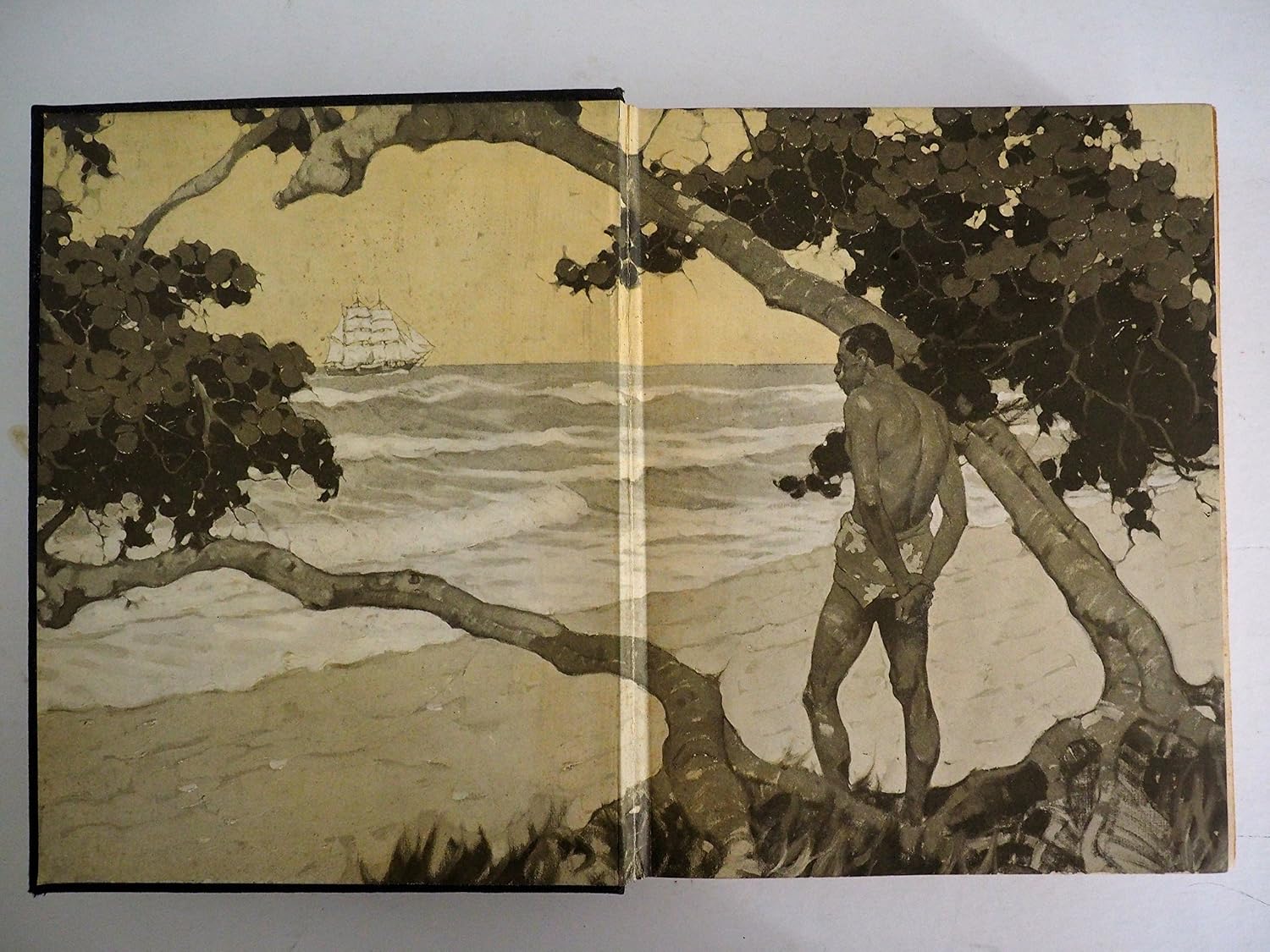 The Cruise of the Cachalot / by Frank T. Bullen, Illustrated by Mead ...