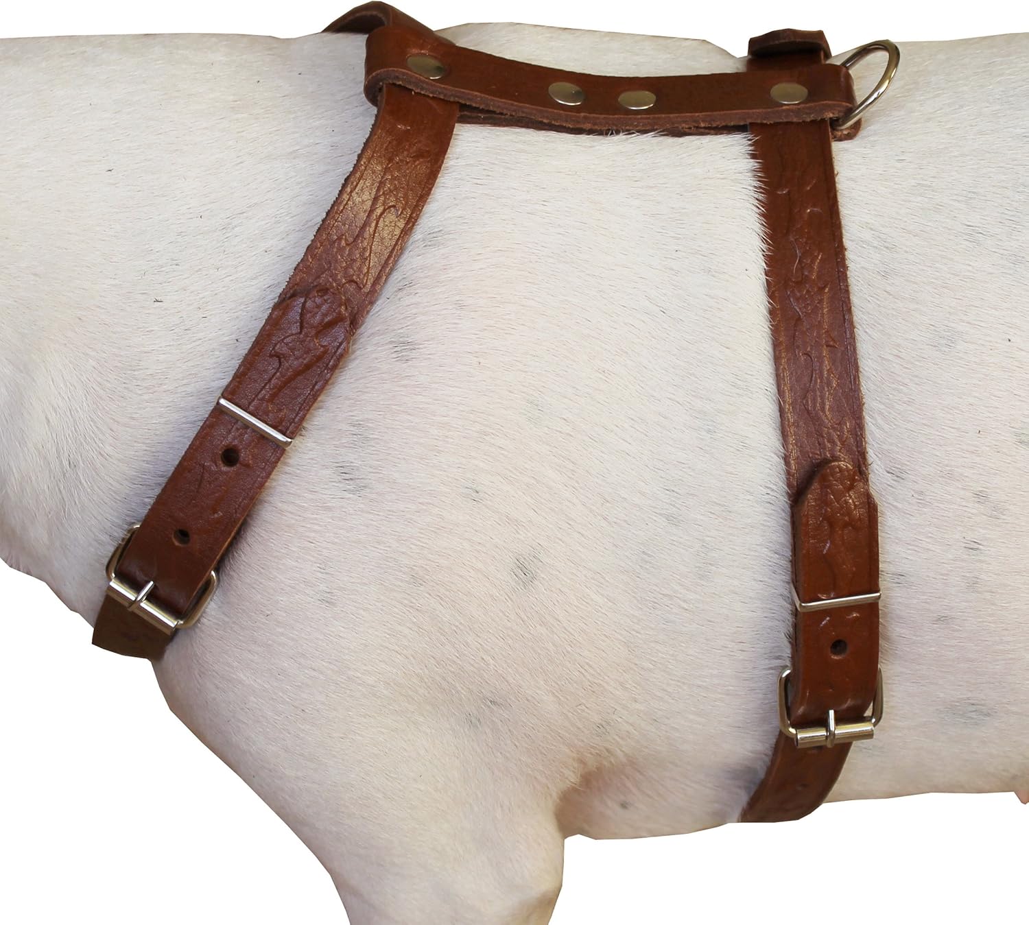 Genuine Tooled Leather Dog Harness Medium. 22″-30″ Chest, 3/4″ Wide ...