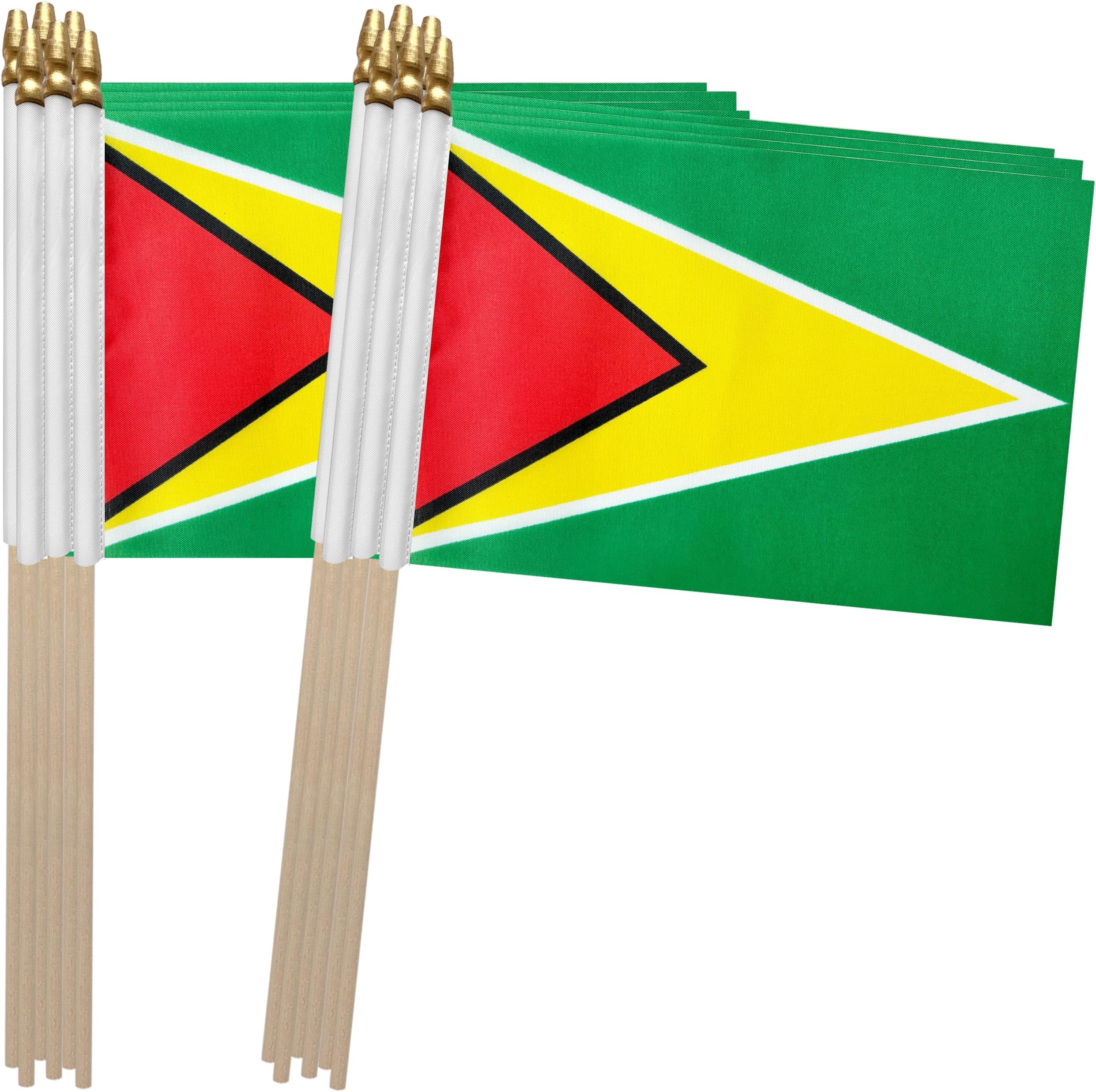 Amazon.com : TSMD Guyana Stick Flag Guyanese Small Mini Hand Held Flags ...