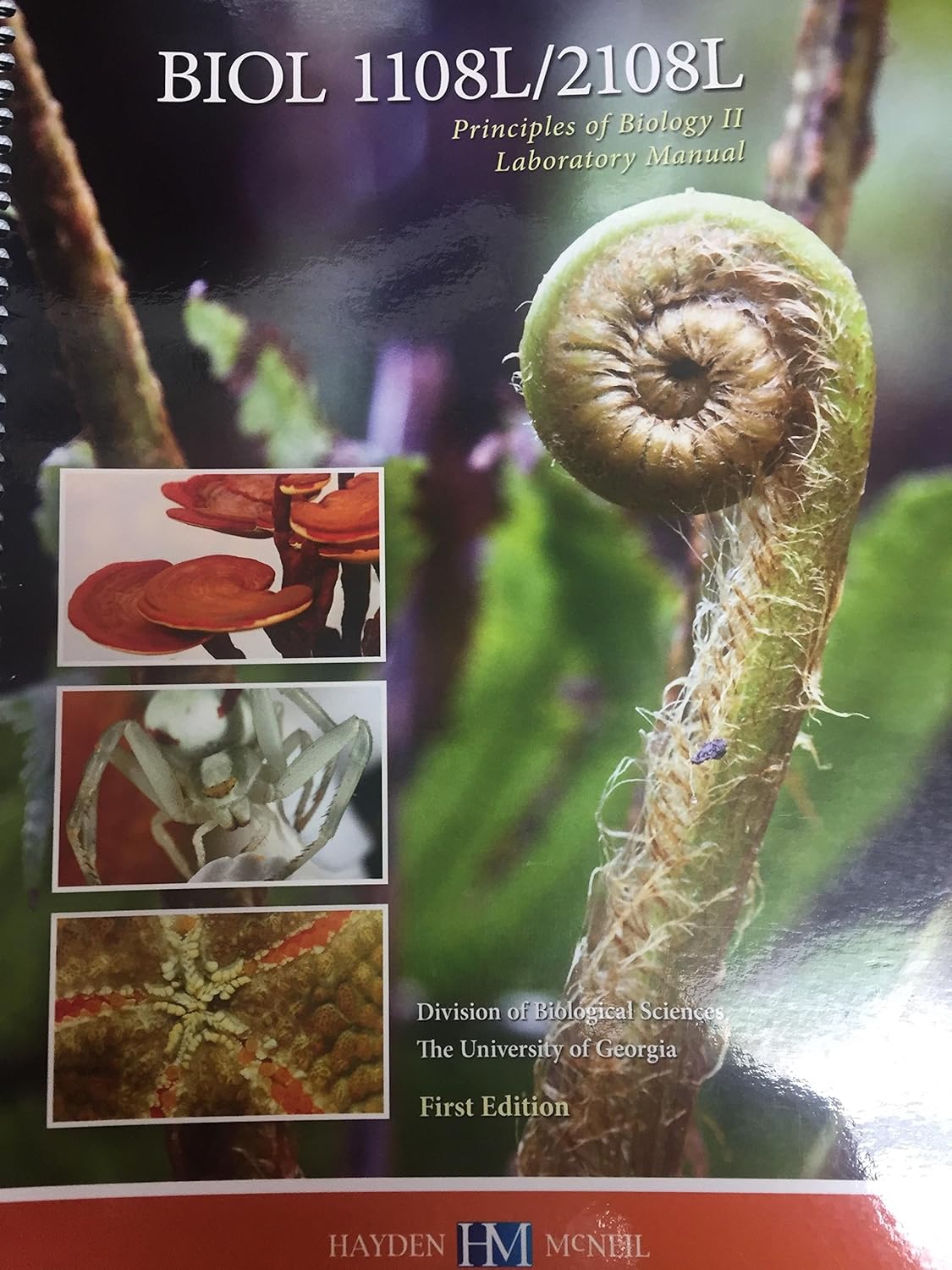Principles of Biology II Laboratory Manual: Amazon.co.uk: 9780738048581 ...