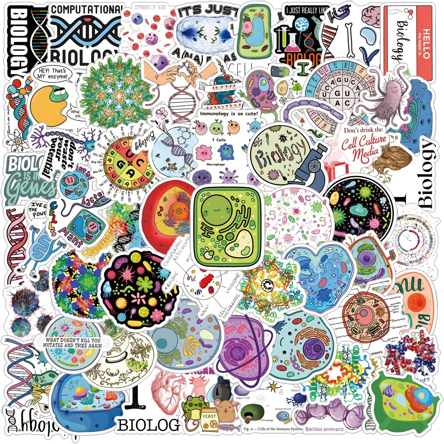 Amazon.com: 100Pcs Funny Biology Stickers for Laptop & Water Bottles ...