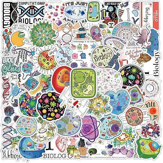 Amazon.com: 61 Pcs Biology Stickers Cartoon Science Aesthetics Vinyl ...