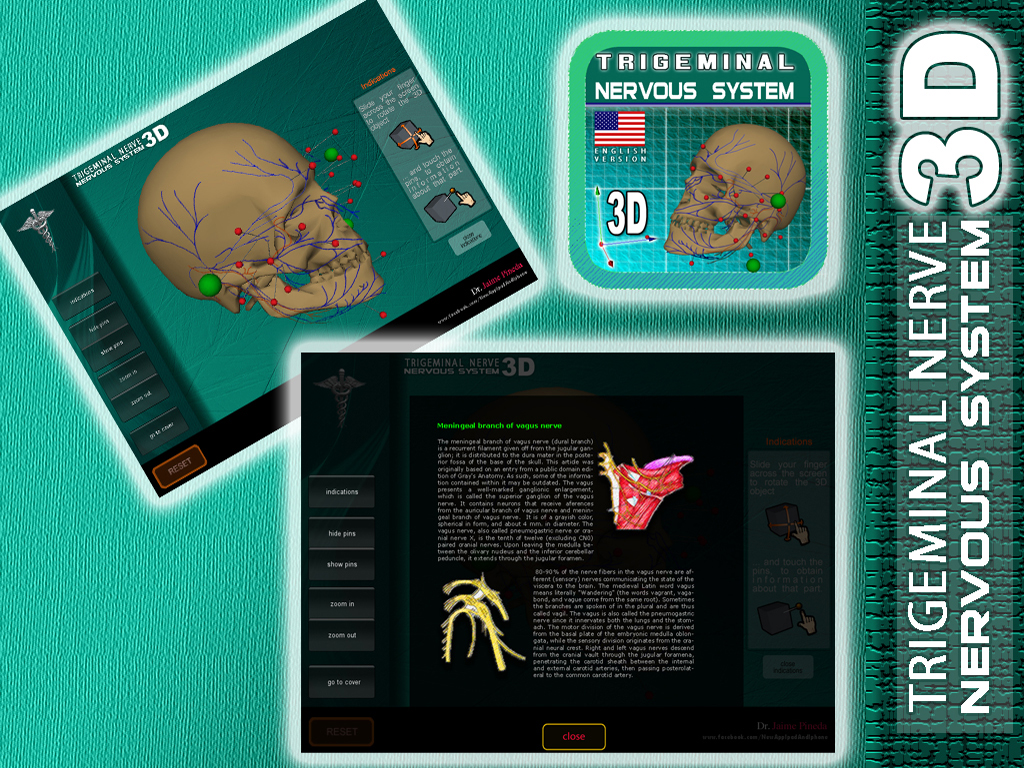 Anatomy Trigeminal Nerves - App on the Amazon Appstore