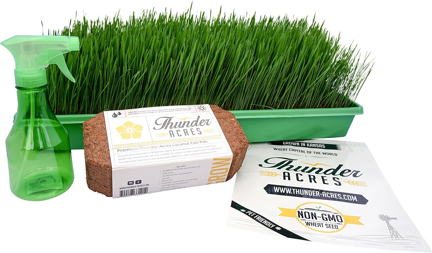 Amazon.com : Complete Wheatgrass Growing Kit, Colored Trays, Organic ...