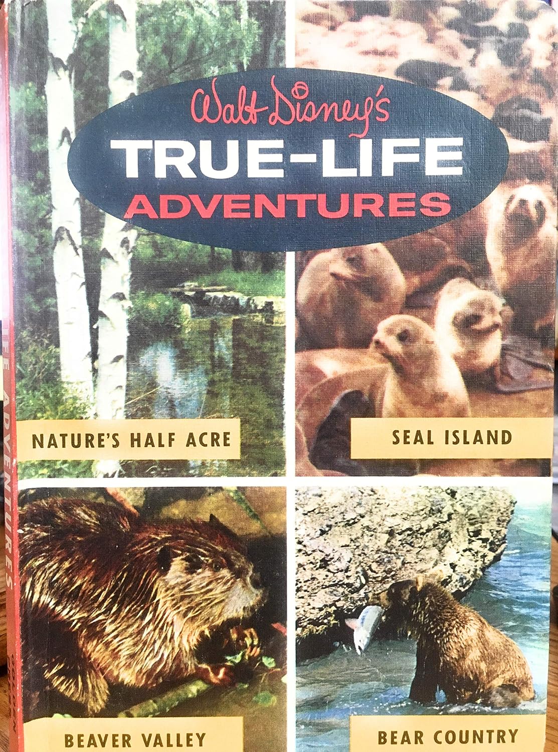 walt disney's true-life adventures: nature's half acre, bear country ...