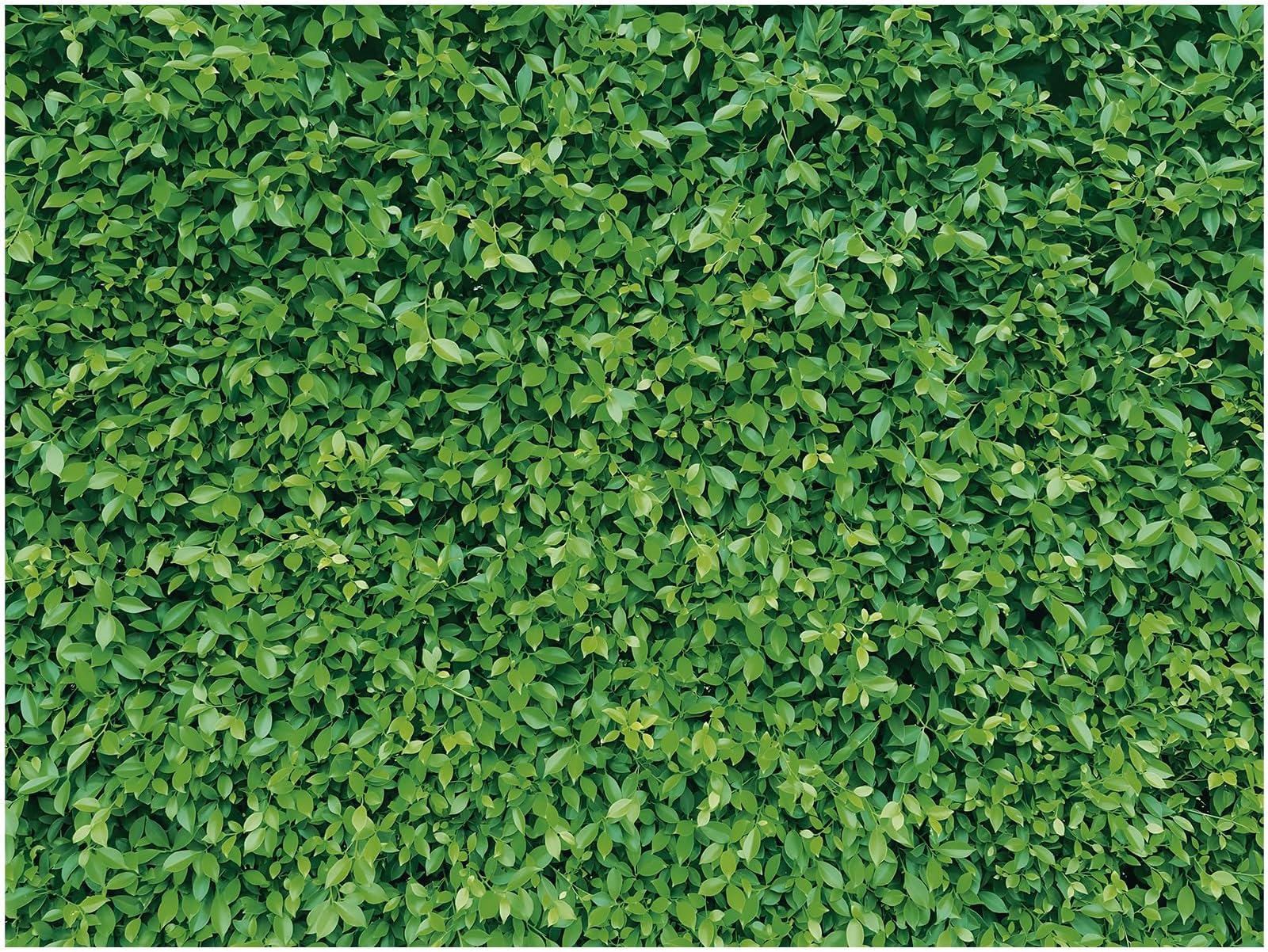 Amazon.com : Mixweer 8 x 6 ft Green Leaves Wall Backdrops Photography ...