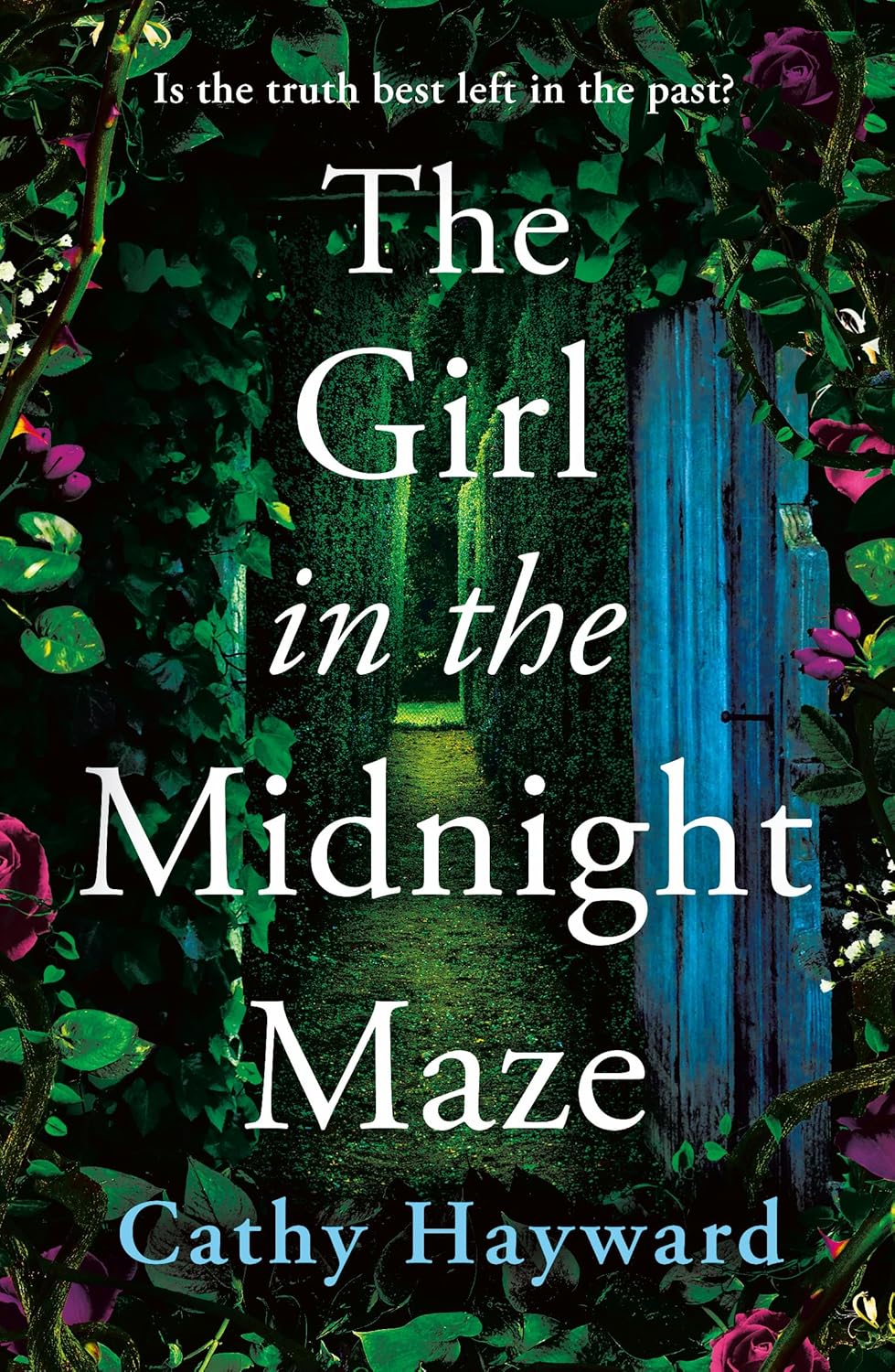 Amazon.com: The Girl in the Midnight Maze: 9781662521737: Hayward, Cathy: Books