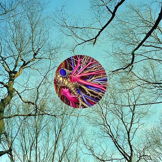 They Might Be Giants - Glean - Amazon.com Music