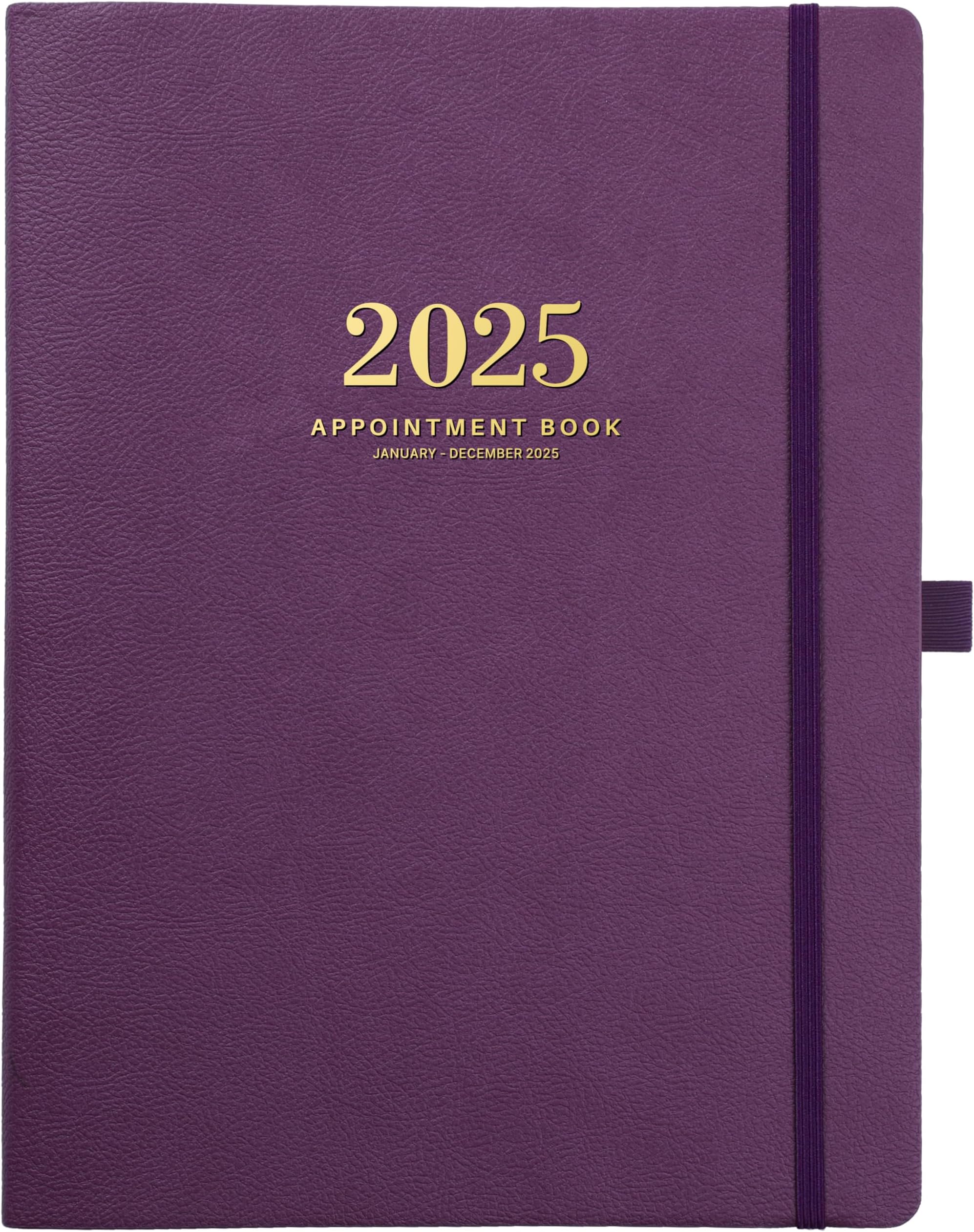 Amazon.com : 2024-2025 Appointment Book & Planner - 2024-2025 Daily ...