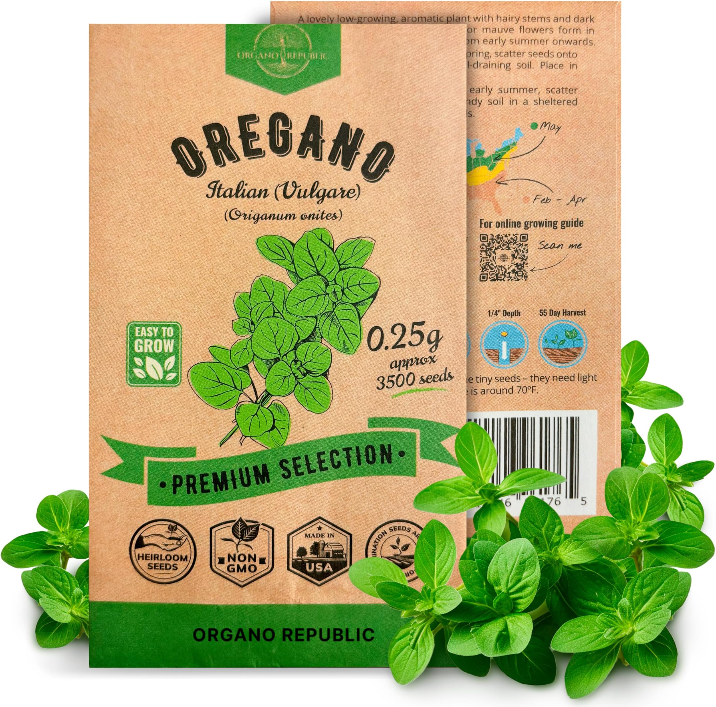 Amazon.com : Italian Vulgare Oregano Seeds Pack 0.25 G - Over 3500 Non ...