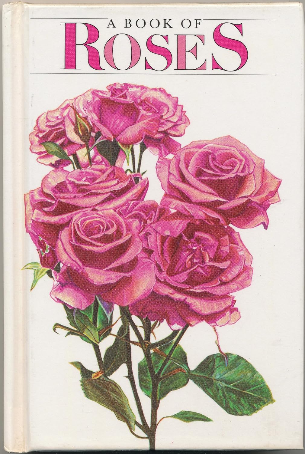 A Book of Roses: William Bryant Logan, Drew McGhie, Peter Malins ...