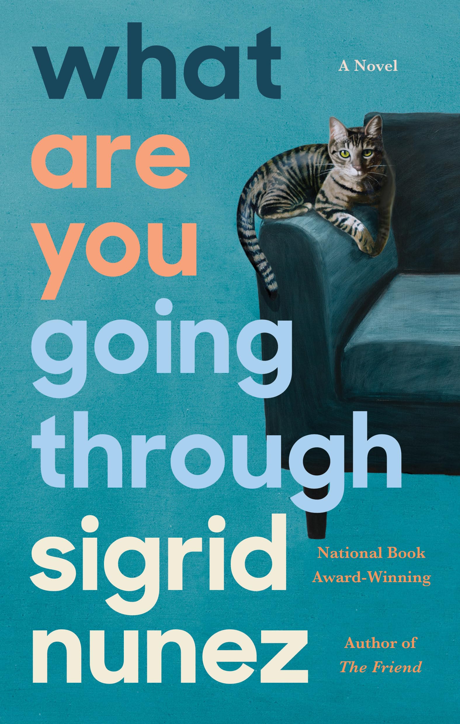 What Are You Going Through: A Novel: Nunez, Sigrid: 9780593191415 ...