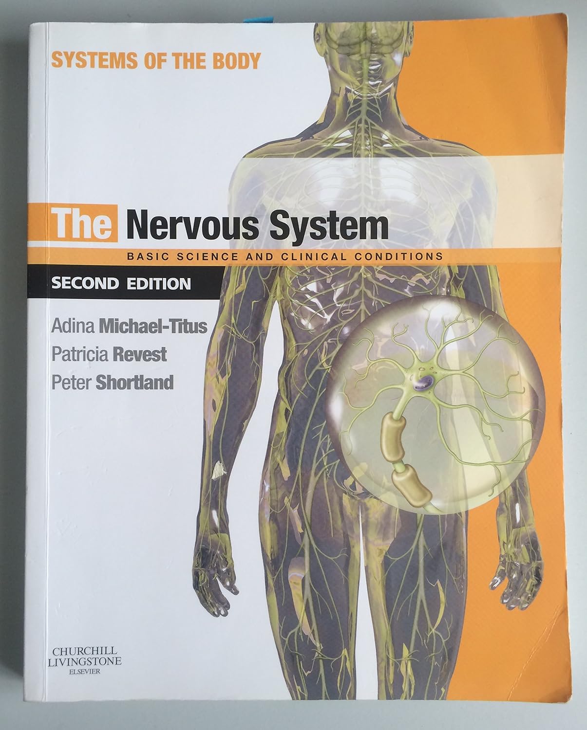 The Nervous System: Systems of the Body Series: Amazon.co.uk: Adina T ...