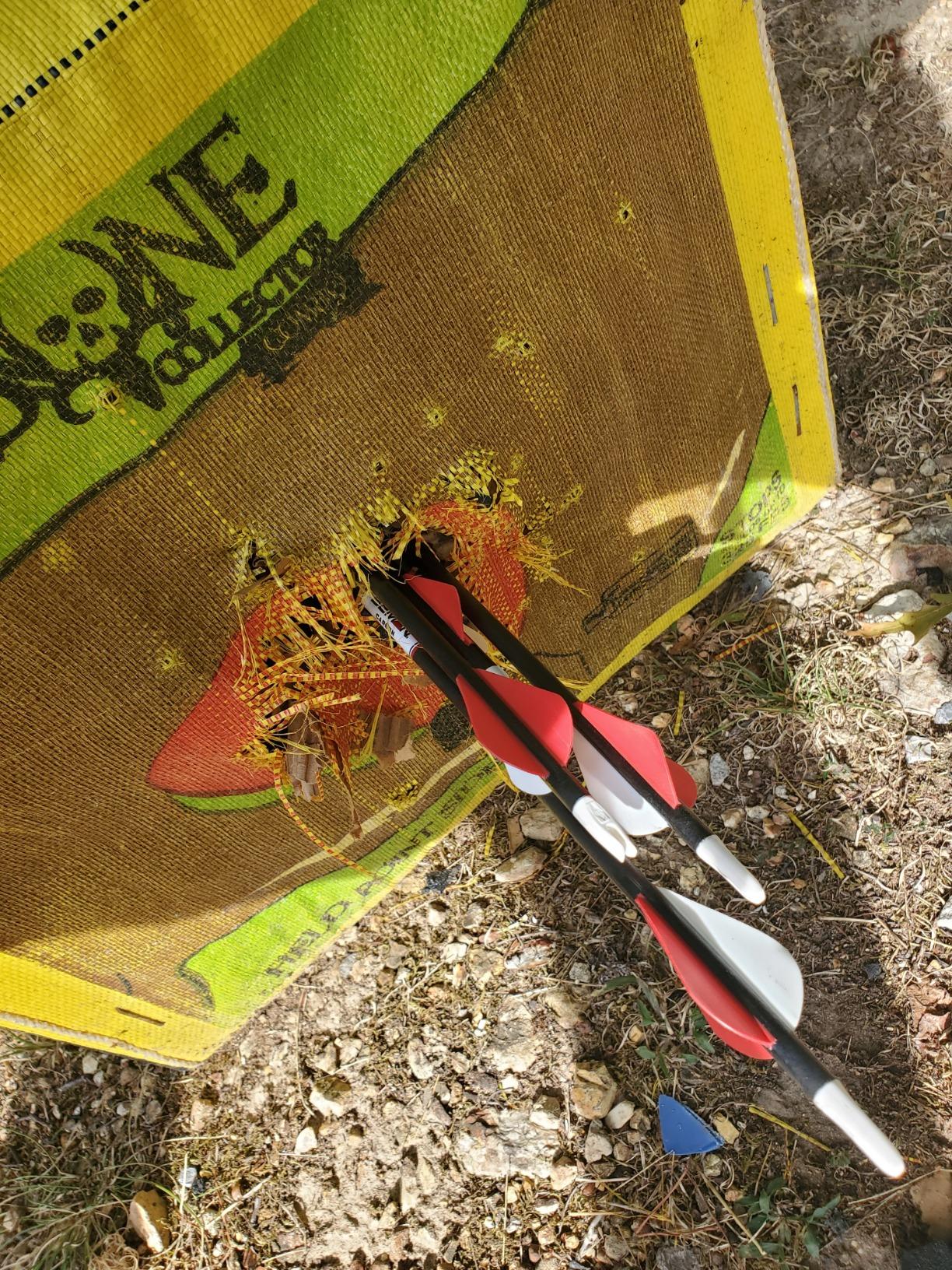 Amazon.com : Beman White Box Arrows 4 Pack : Sports & Outdoors