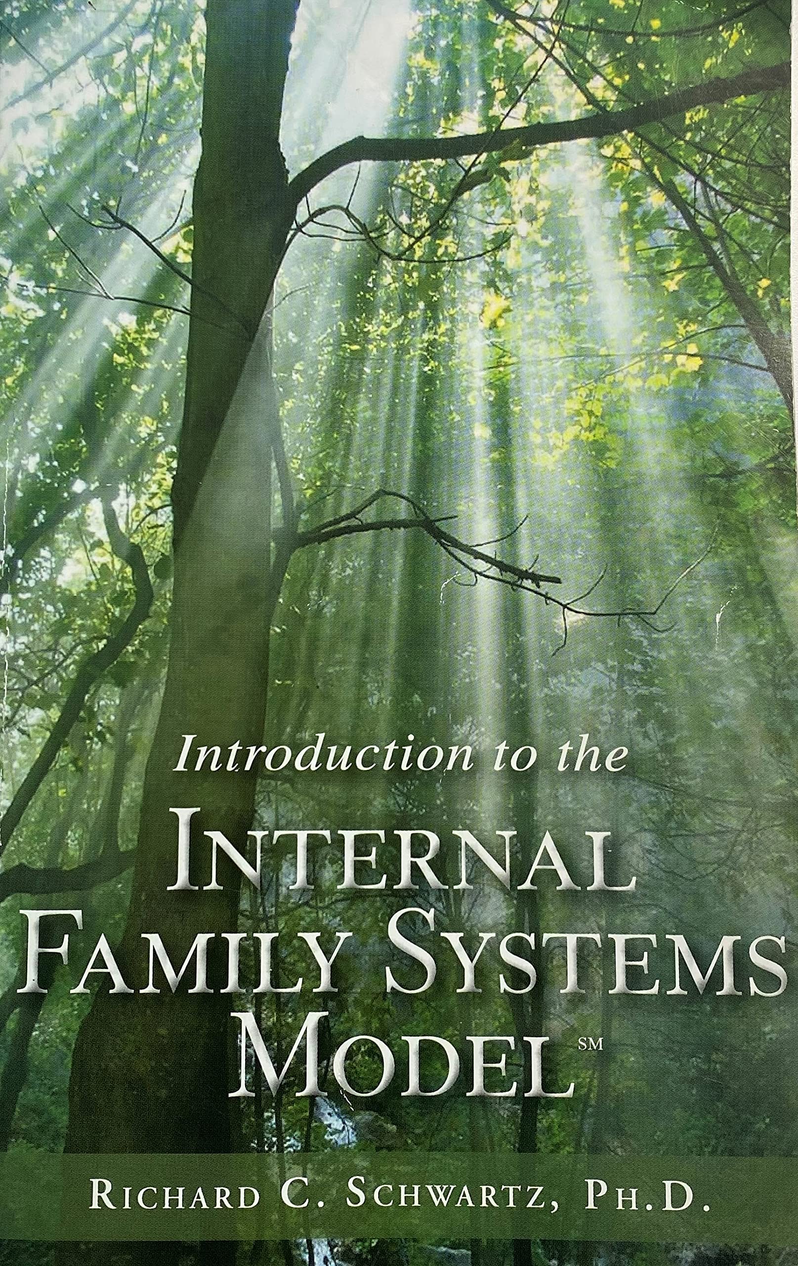 Introduction to the Internal Family Systems Model: Ph.D. Richard C ...