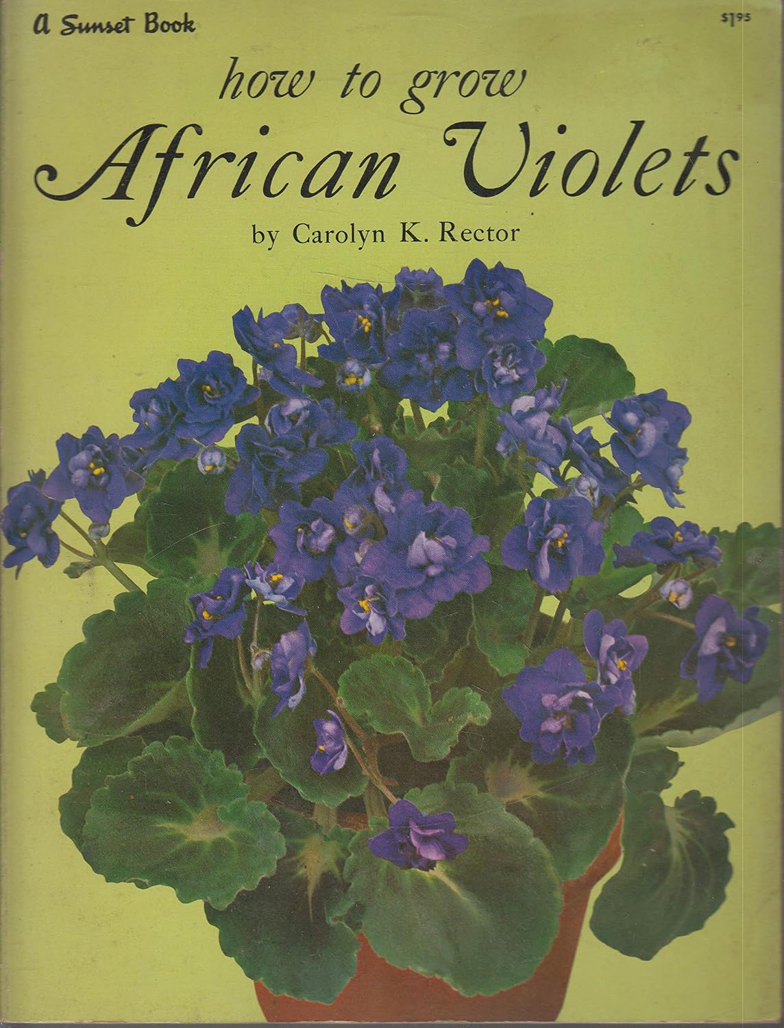 How to Grow African Violets: Carolyn K. Rector: Amazon.com: Books
