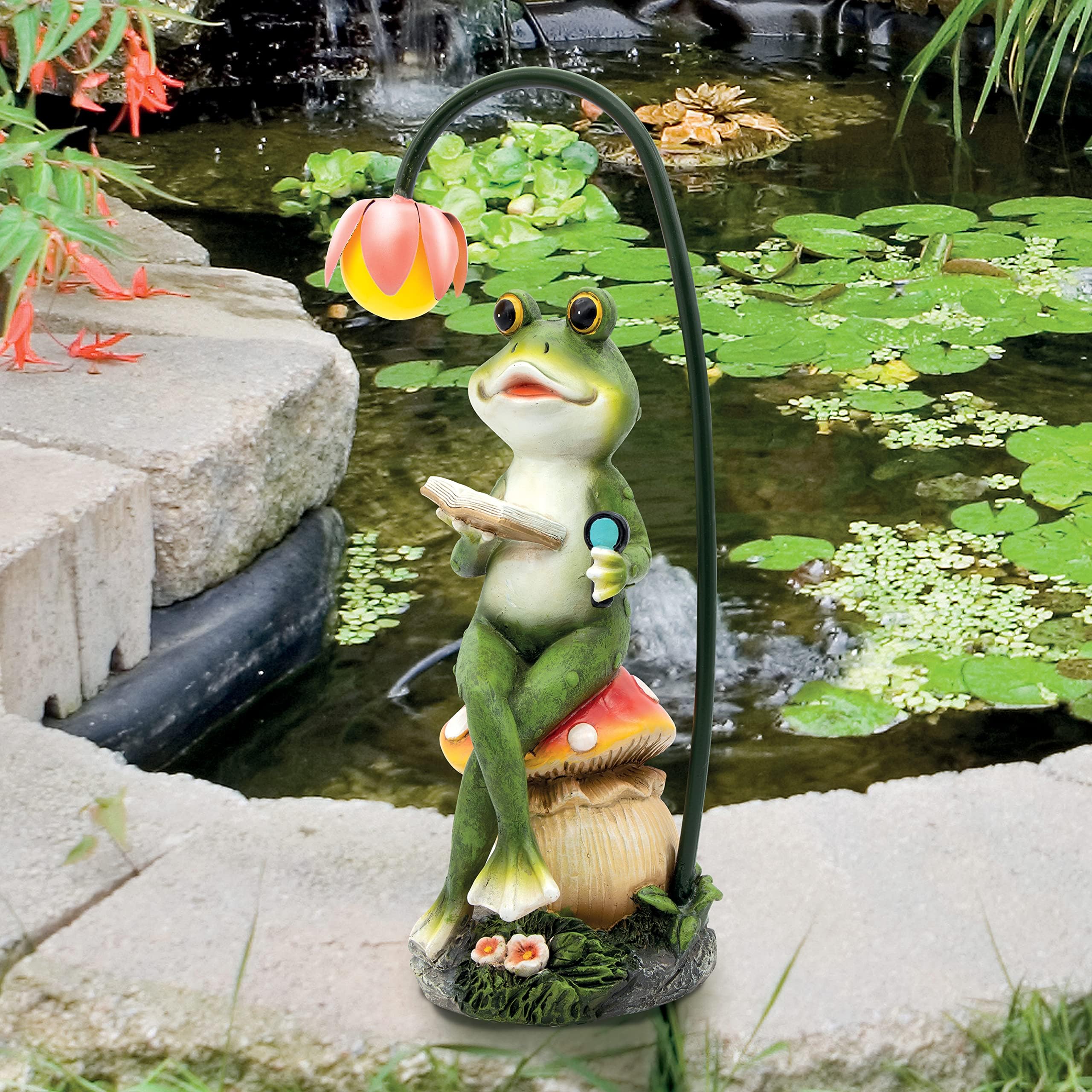 Solar Powered Gazing Frog Decorative Garden Ornament : Amazon.co.uk: Garden