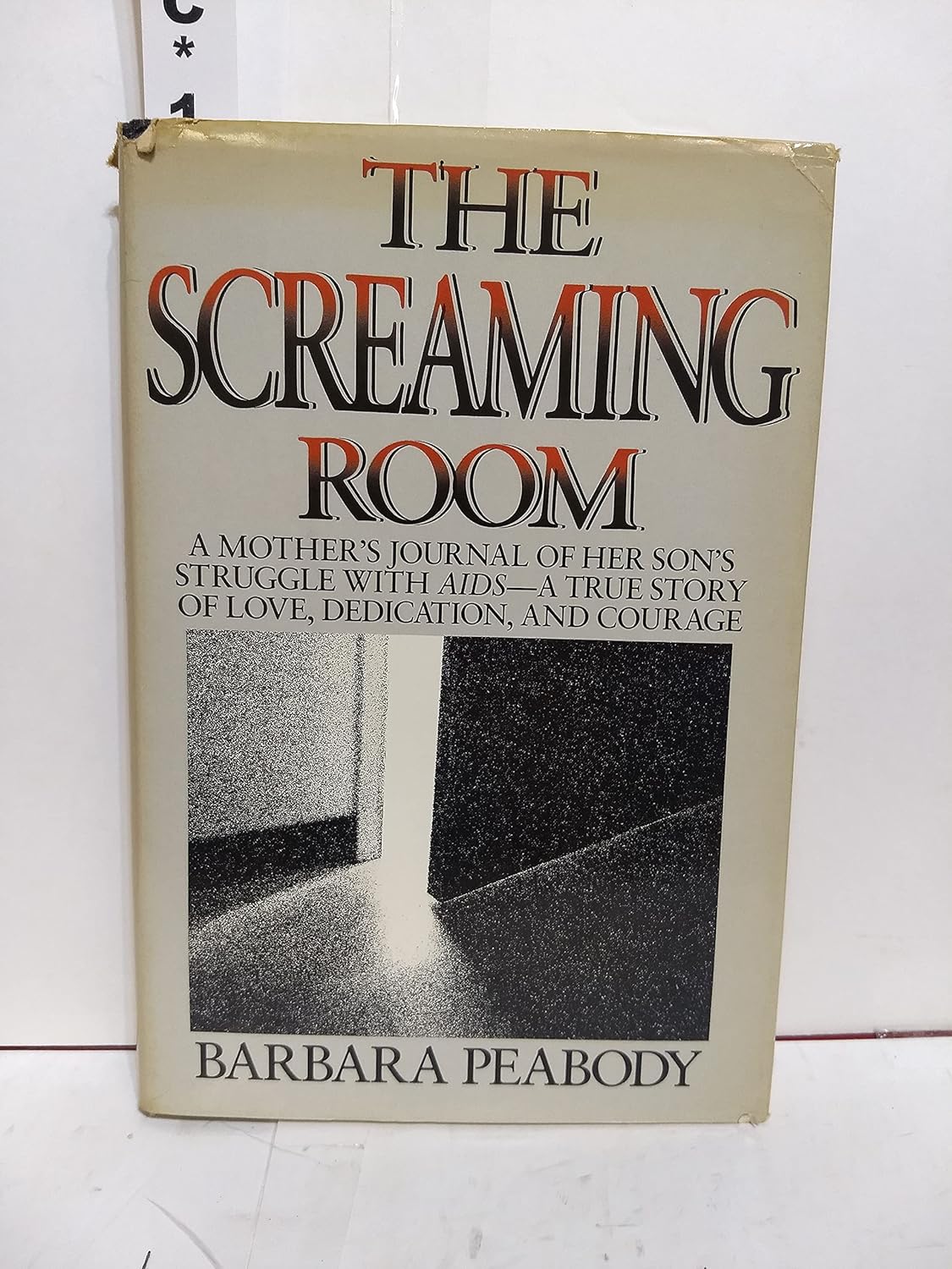 Amazon | The Screaming Room: A Mother's Journal of Her Son's Struggle ...