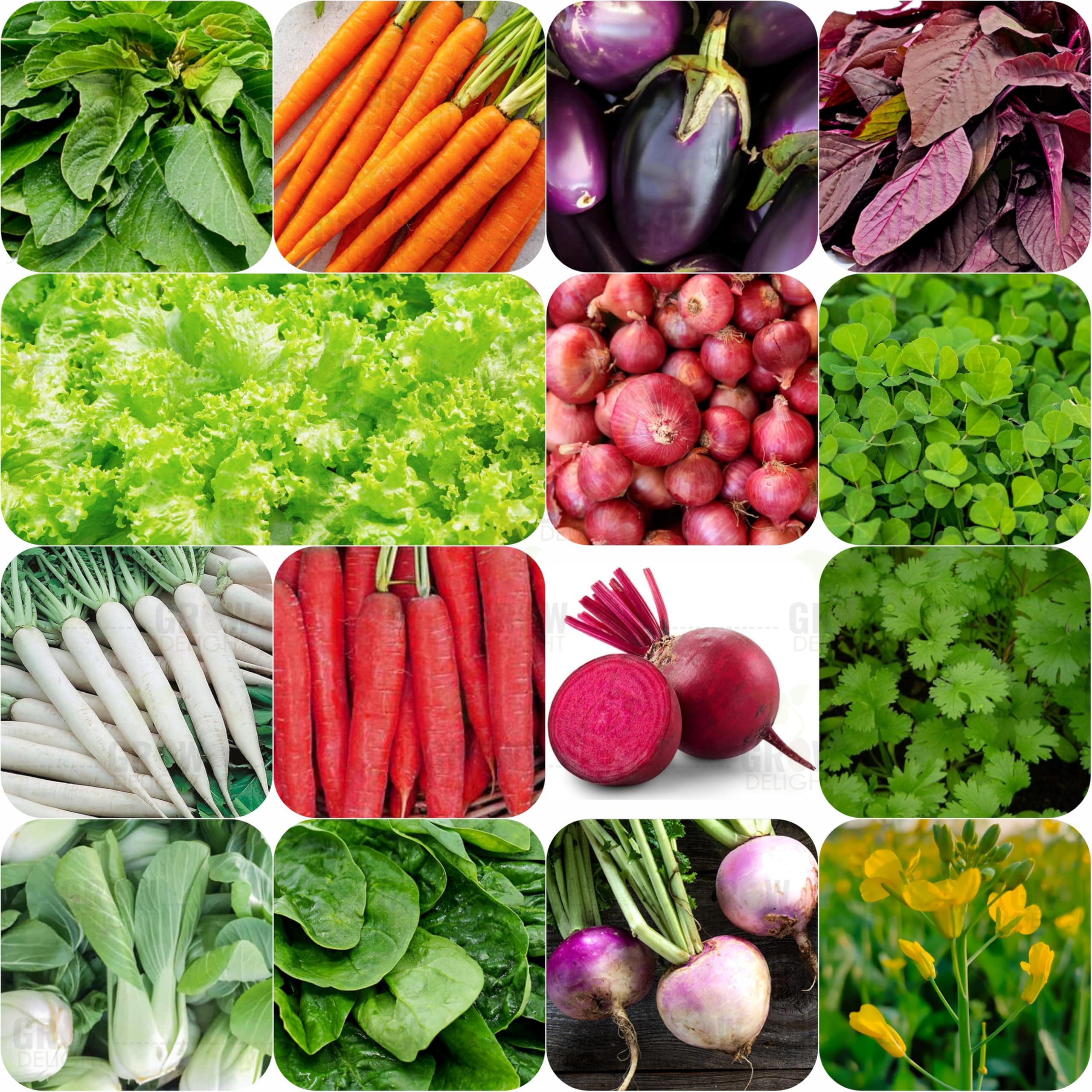 ONLY FOR ORGANIC 45 Variety Of Vegetable Seeds With Instruction Manual ...