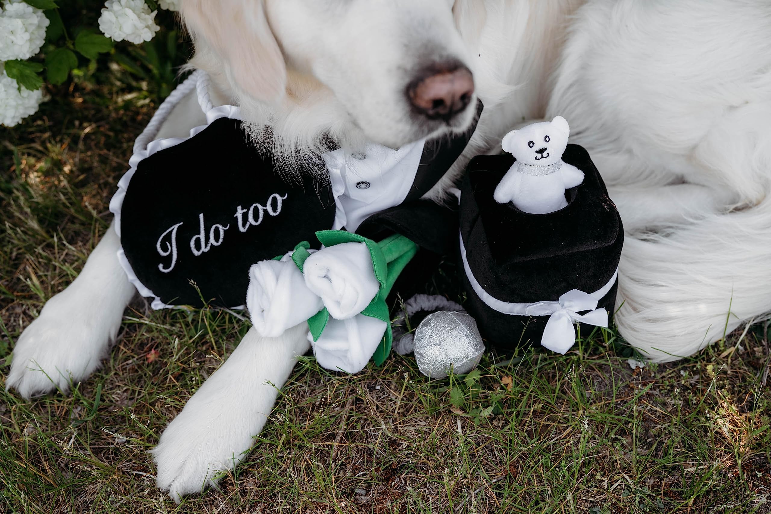 Dog Toy Wedding Why To Take Your Dog To Your Wedding — Wedding